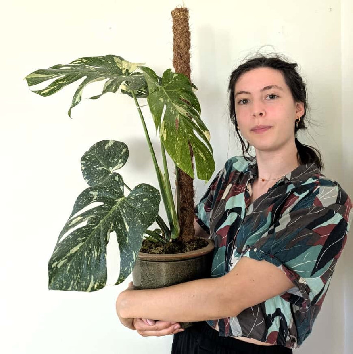 Over ons :: Studio Ginkgo